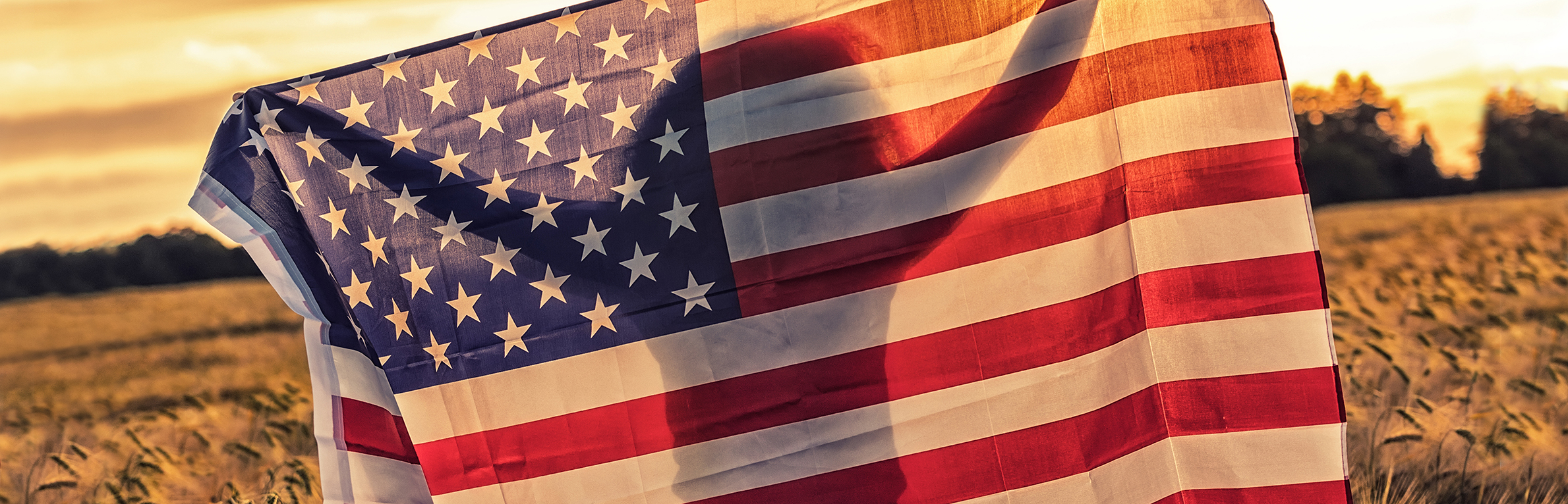 America Will Recover » Beese Fulmer